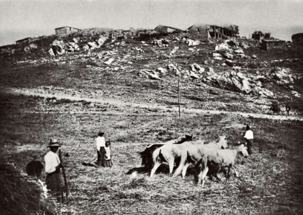 ΠΑΡΟΙΜΙΕΣ ΚΑΙ ΛΟΓΙΑ ΤΟΥ ΑΛΩΝΙΟΥ – paradosi24.gr